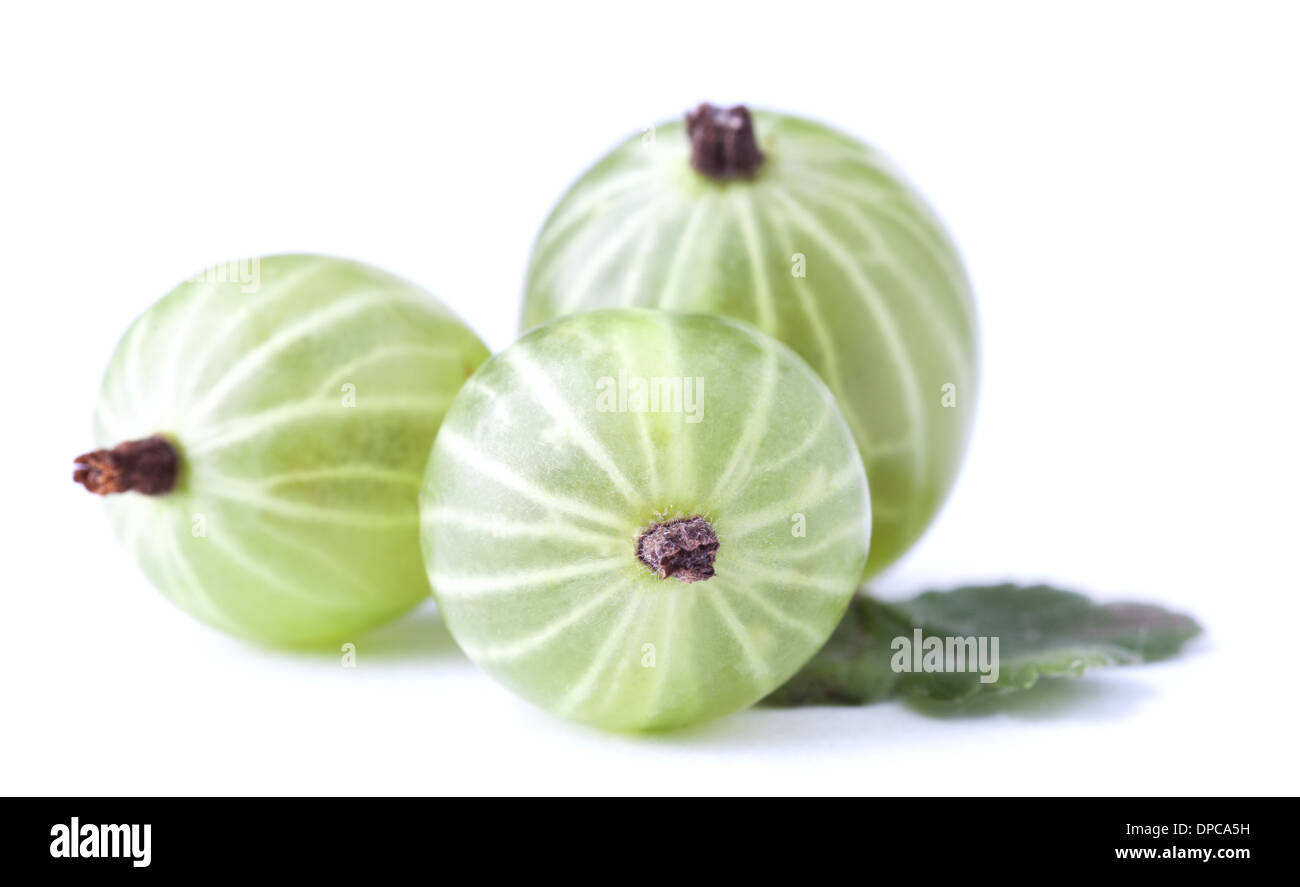 Gooseberry hi-res stock photography and images - Alamy