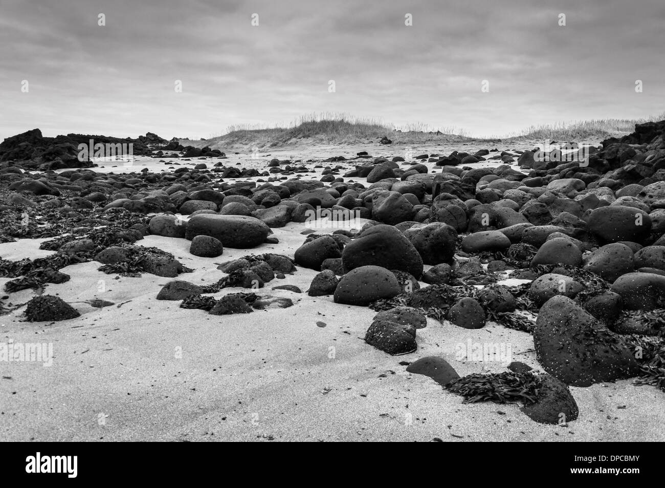 Sand beach with black volcanic rocks in Iceland near Budir - small town ...