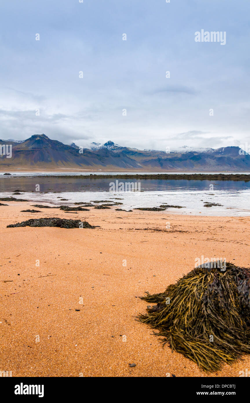 Sand beach with black volcanic rocks in Iceland near Budir - small town ...