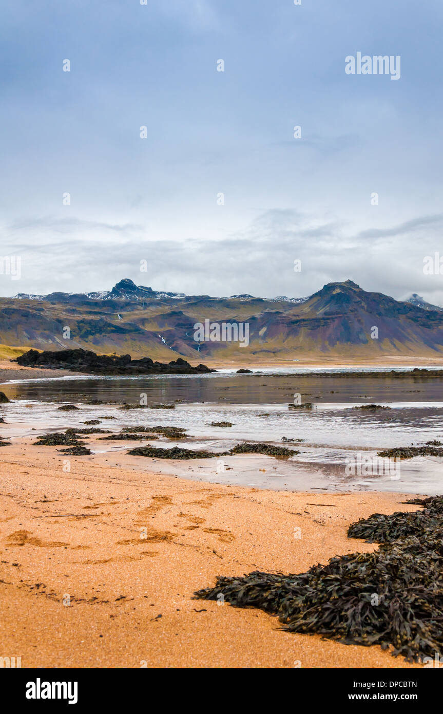 Sand beach with black volcanic rocks in Iceland near Budir - small town ...