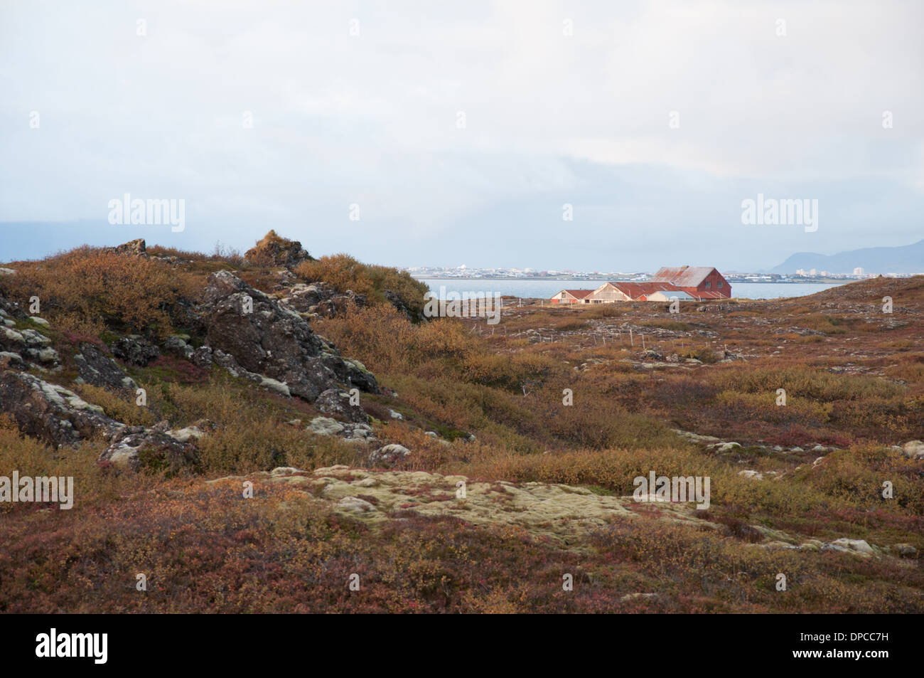 Icelandic landscape with volcanic rocks and green grass Stock Photo - Alamy