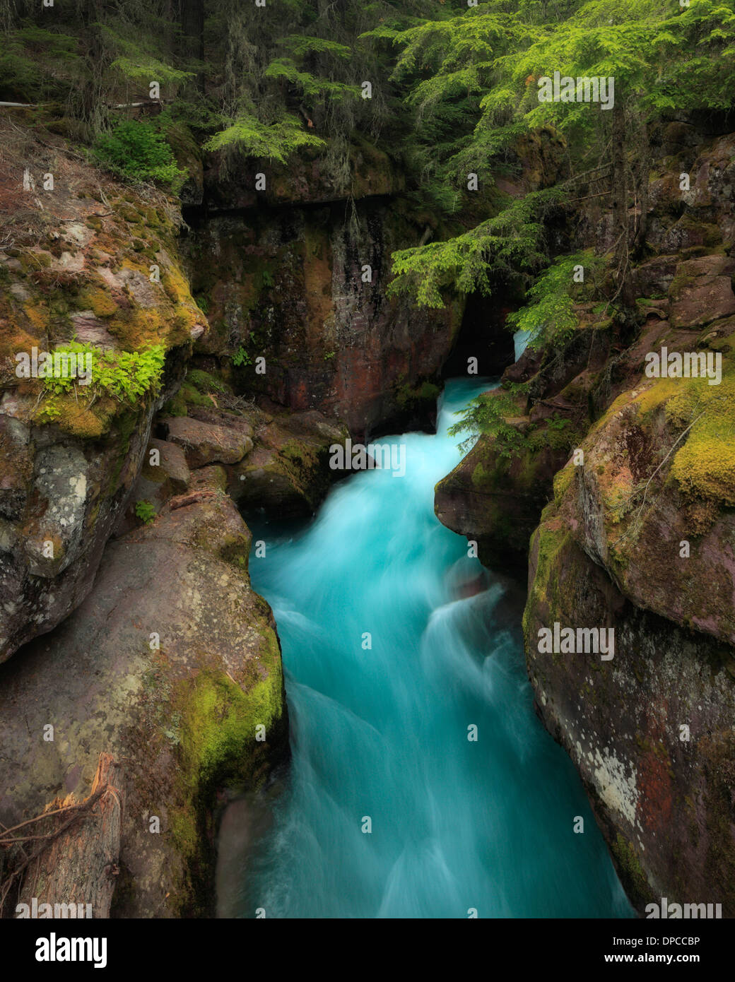 Avalanche Creek In Glacier National Park In Montana Stock Photo Alamy