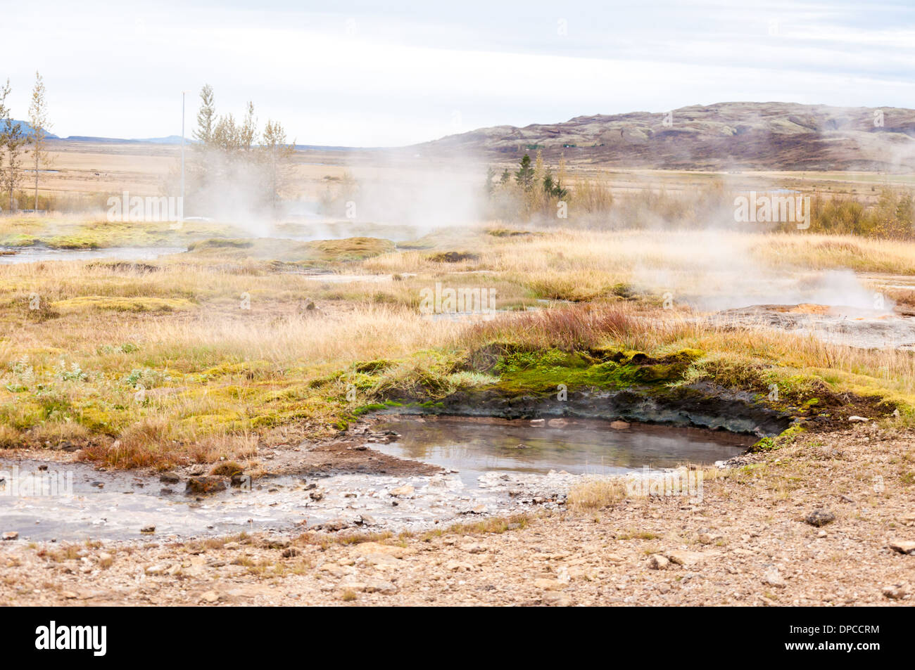 Steam coming out of a small geyser in the geysir destrict Stock Photo ...