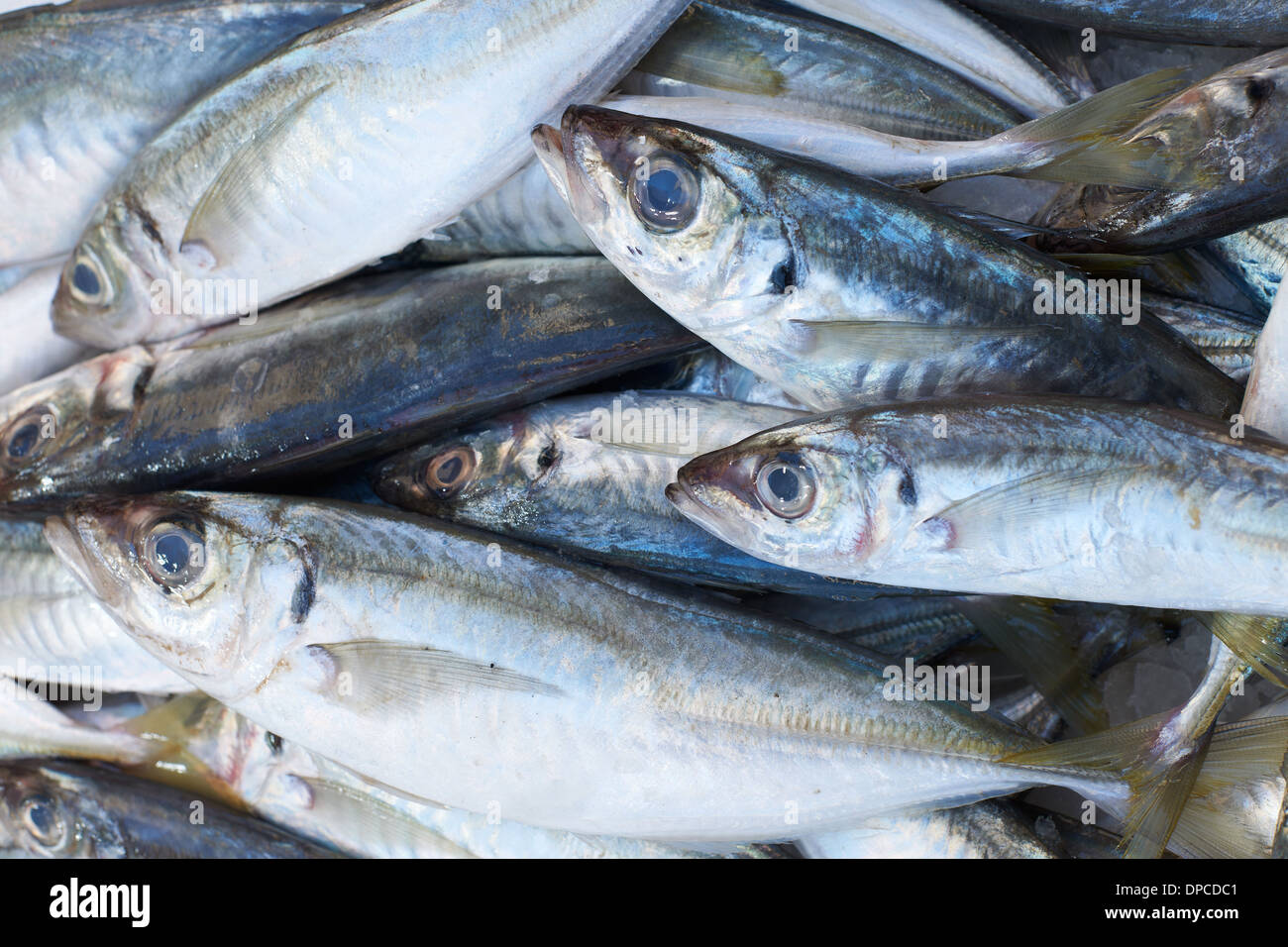 Marseilles fish market hi-res stock photography and images - Alamy
