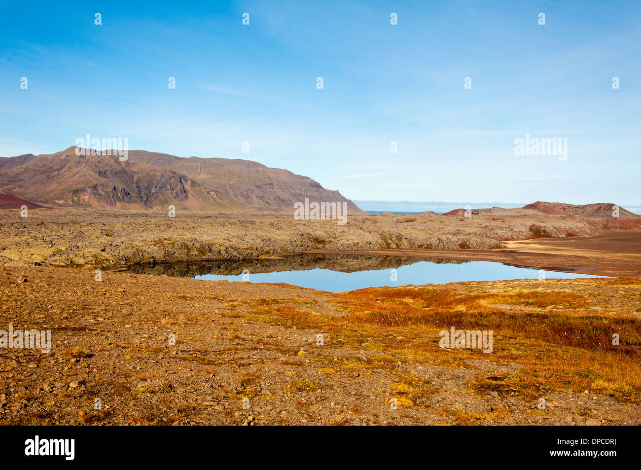 Icelandic landscape with volcanic rocks and green grass Stock Photo - Alamy