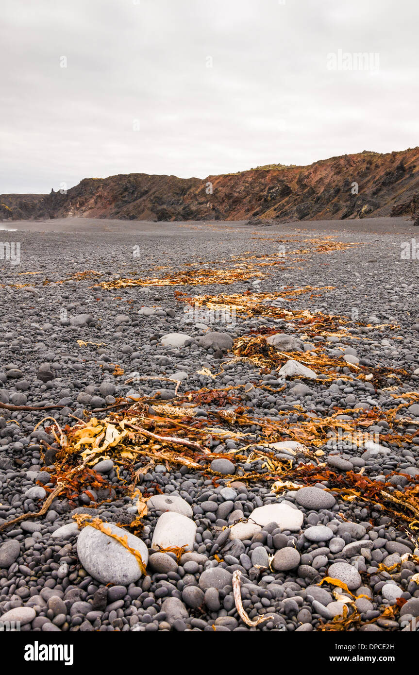 Icelandic beach with black lava rocks, Snaefellsnes peninsula, Iceland ...