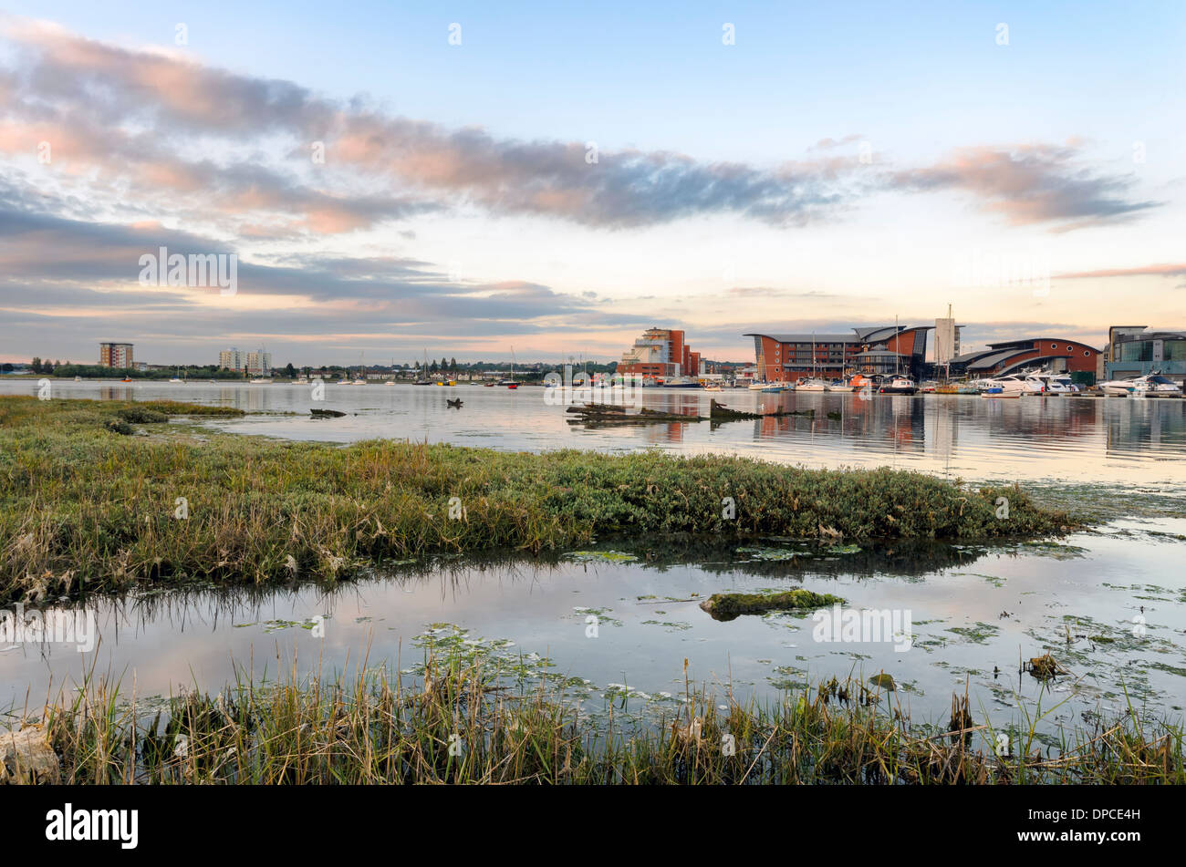 Salt marshes at Poole Harbour in Dorset Stock Photo - Alamy