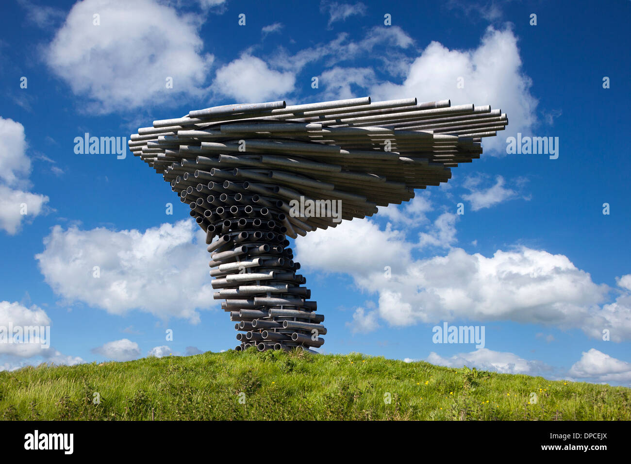 Ringing singing tree hi-res stock photography and images - Alamy