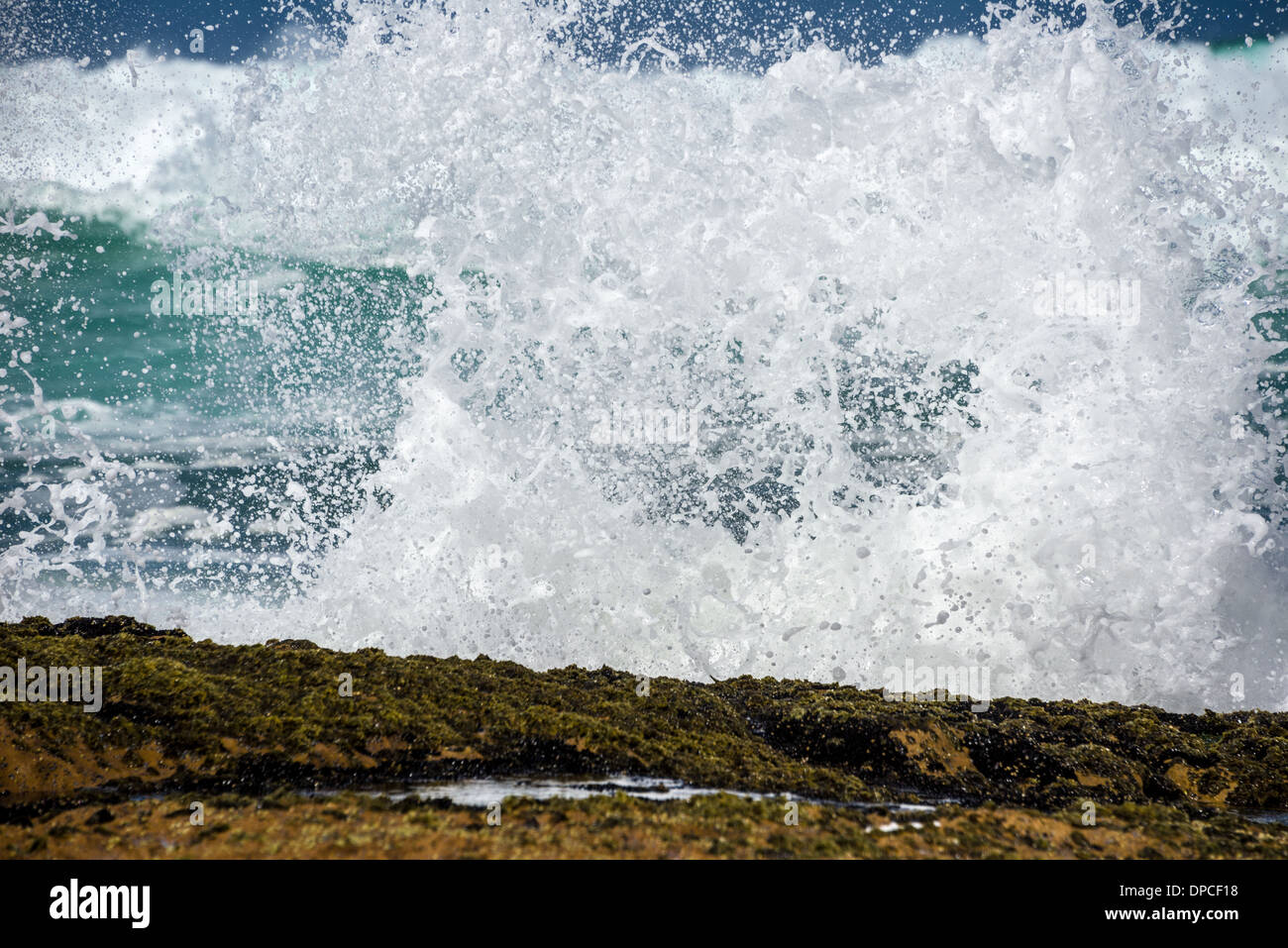 roaring ocean beach waves crashing to the shoreline taken very close up ...