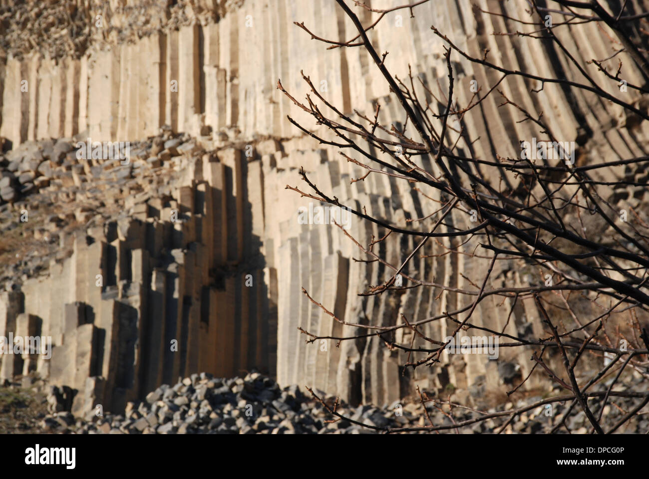 The Garni Gorge has distinctive columns, carved out by the Goght River ...