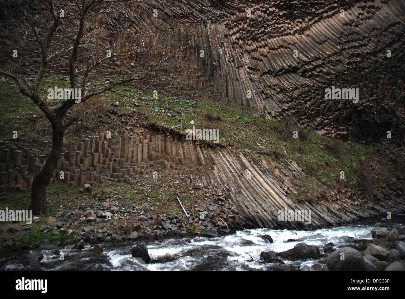 The Garni Gorge has distinctive columns, carved out by the Goght River ...