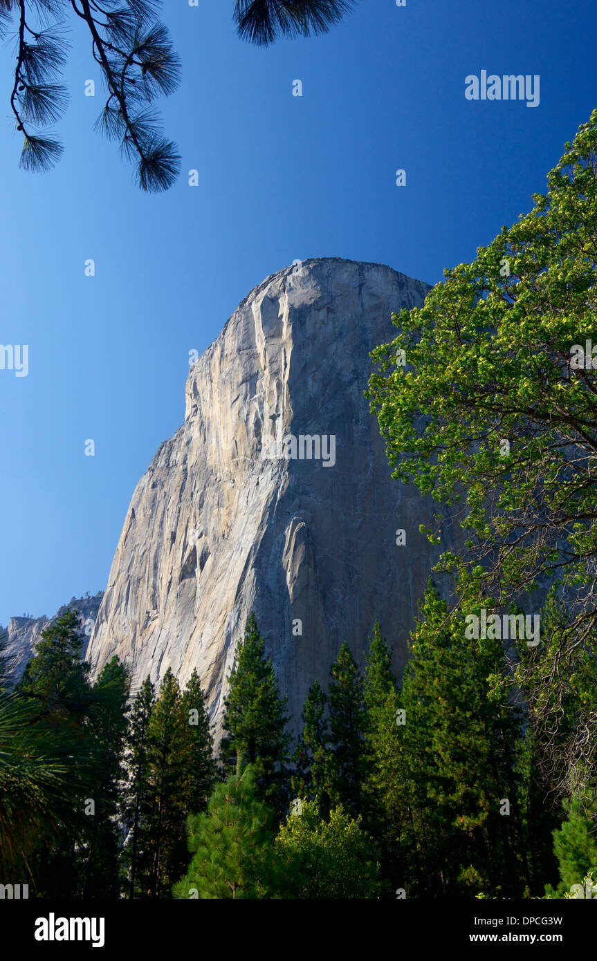 View of yosemite valley with famous el capitan and idyllic hi-res stock ...