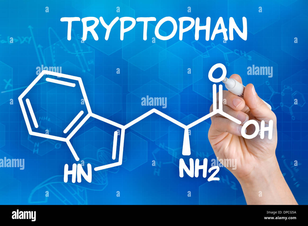 Hand with pen drawing the chemical formula of tryptophan Stock Photo ...