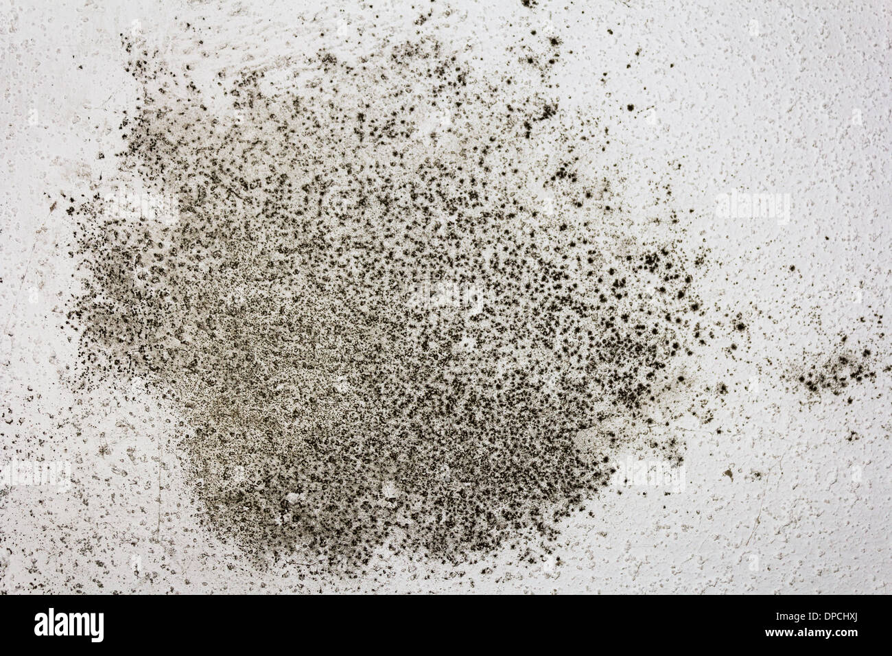 Ceiling mould hi-res stock photography and images - Alamy