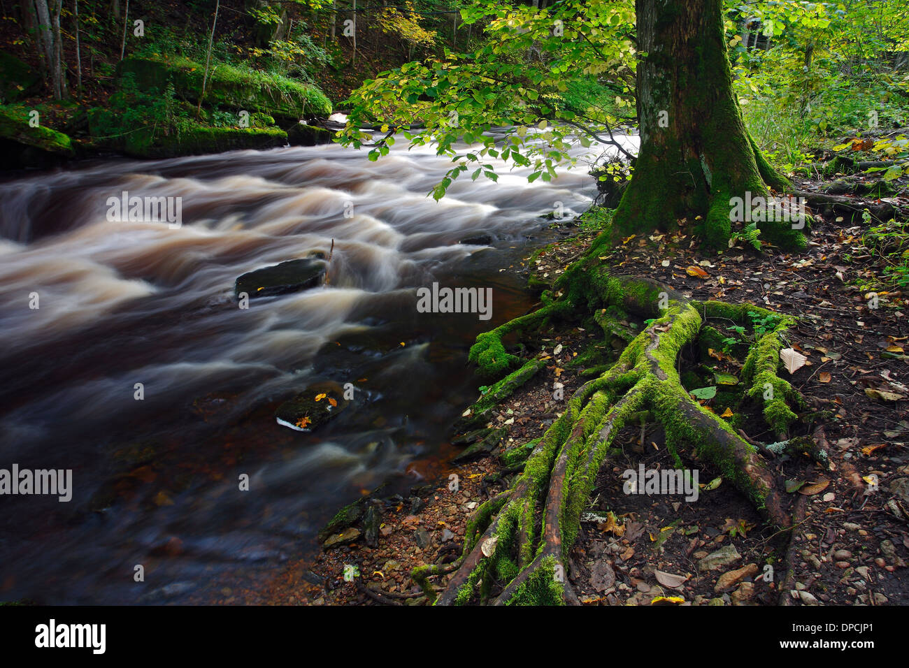 Landscape river among rock hi-res stock photography and images - Alamy