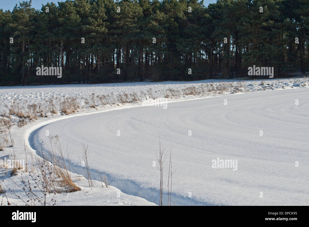 Snow covered field with wood in background Stock Photo - Alamy