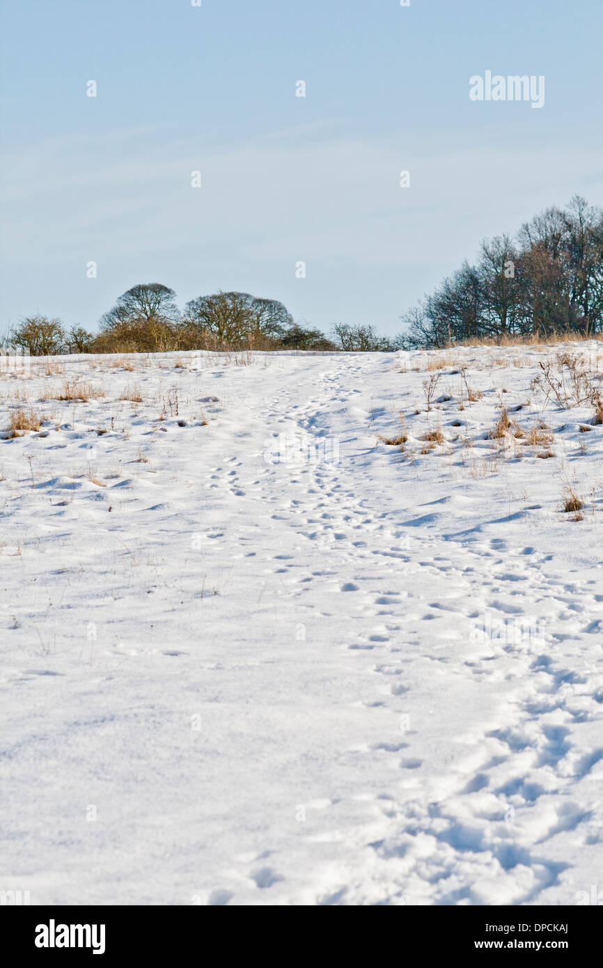 Covered track hi-res stock photography and images - Alamy