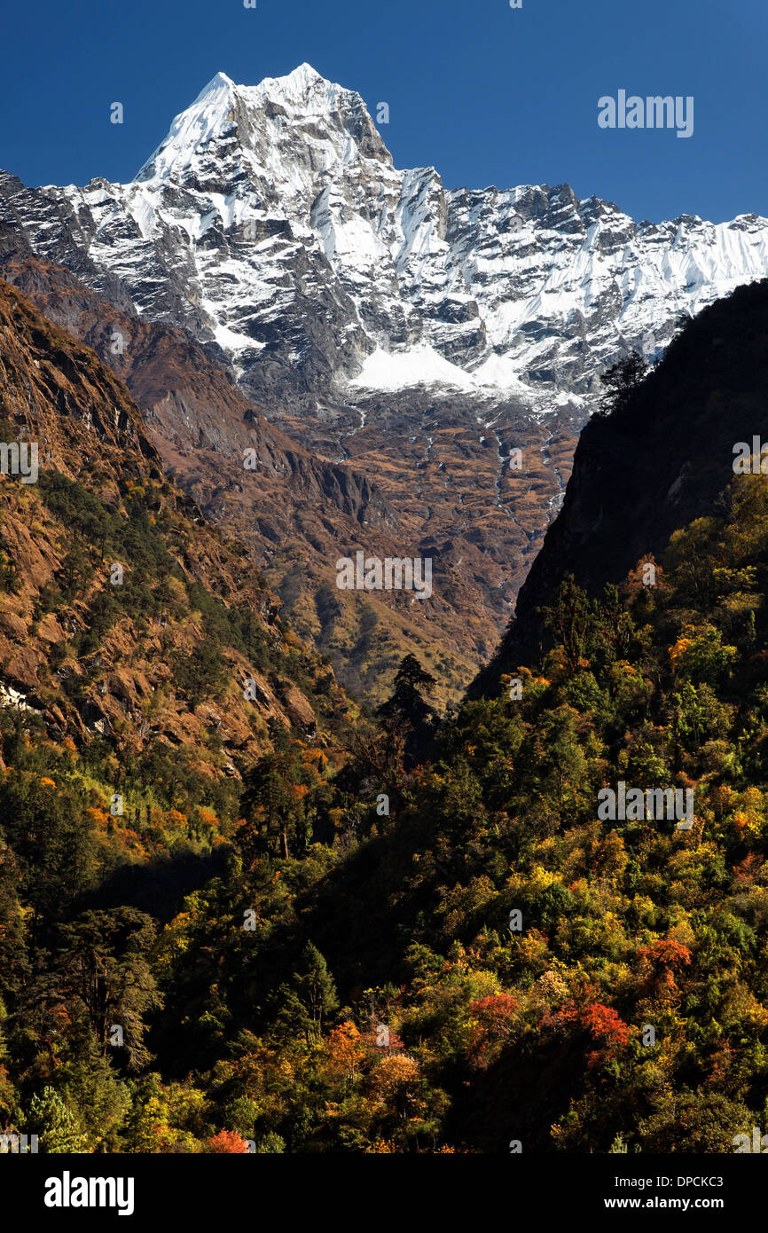 Trees in autumn colour fill Thado Koshi Khola beneath snow-covered ...