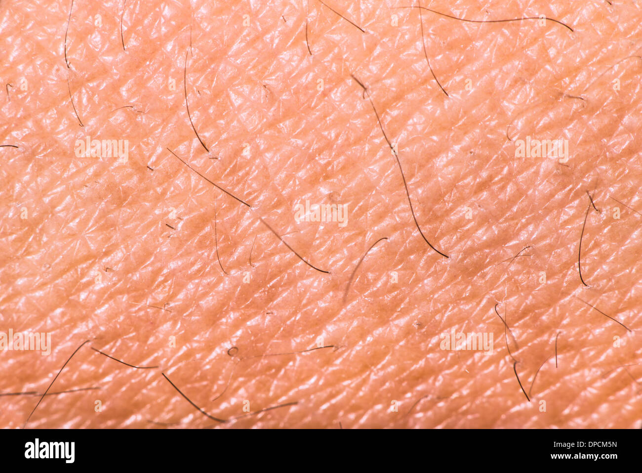 Texture of human skin. Extreme close up macro shot Stock Photo - Alamy