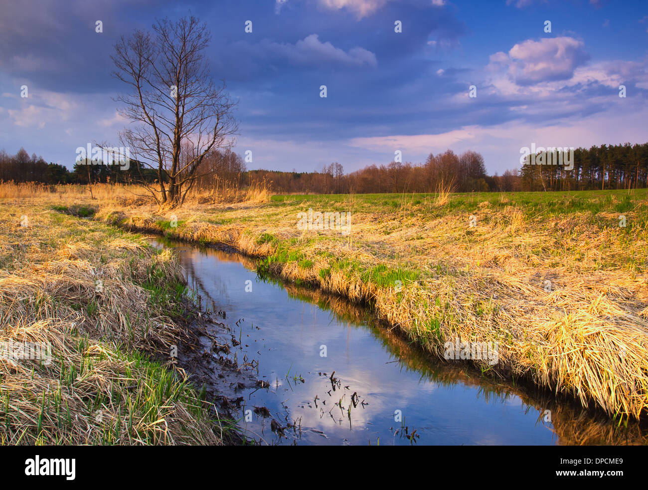 landscape with stream Stock Photo - Alamy