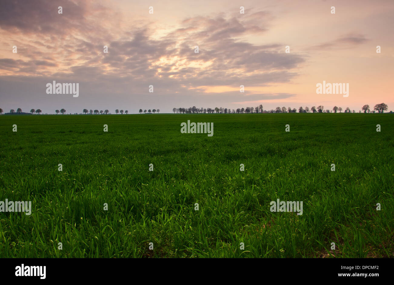 sunset with colorful sky over field Stock Photo - Alamy