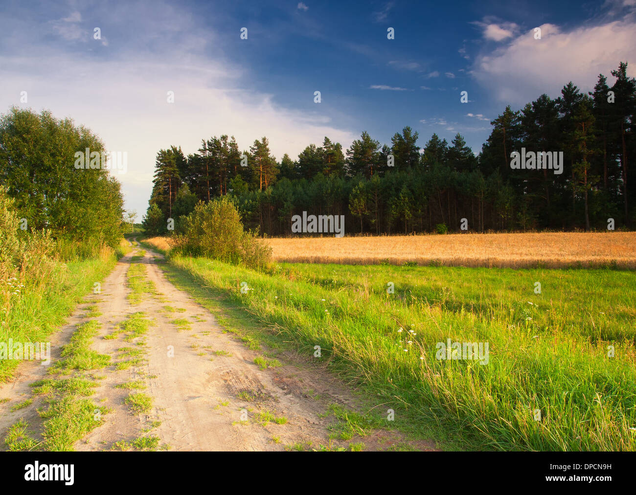 landscape with rural sandy road Stock Photo - Alamy
