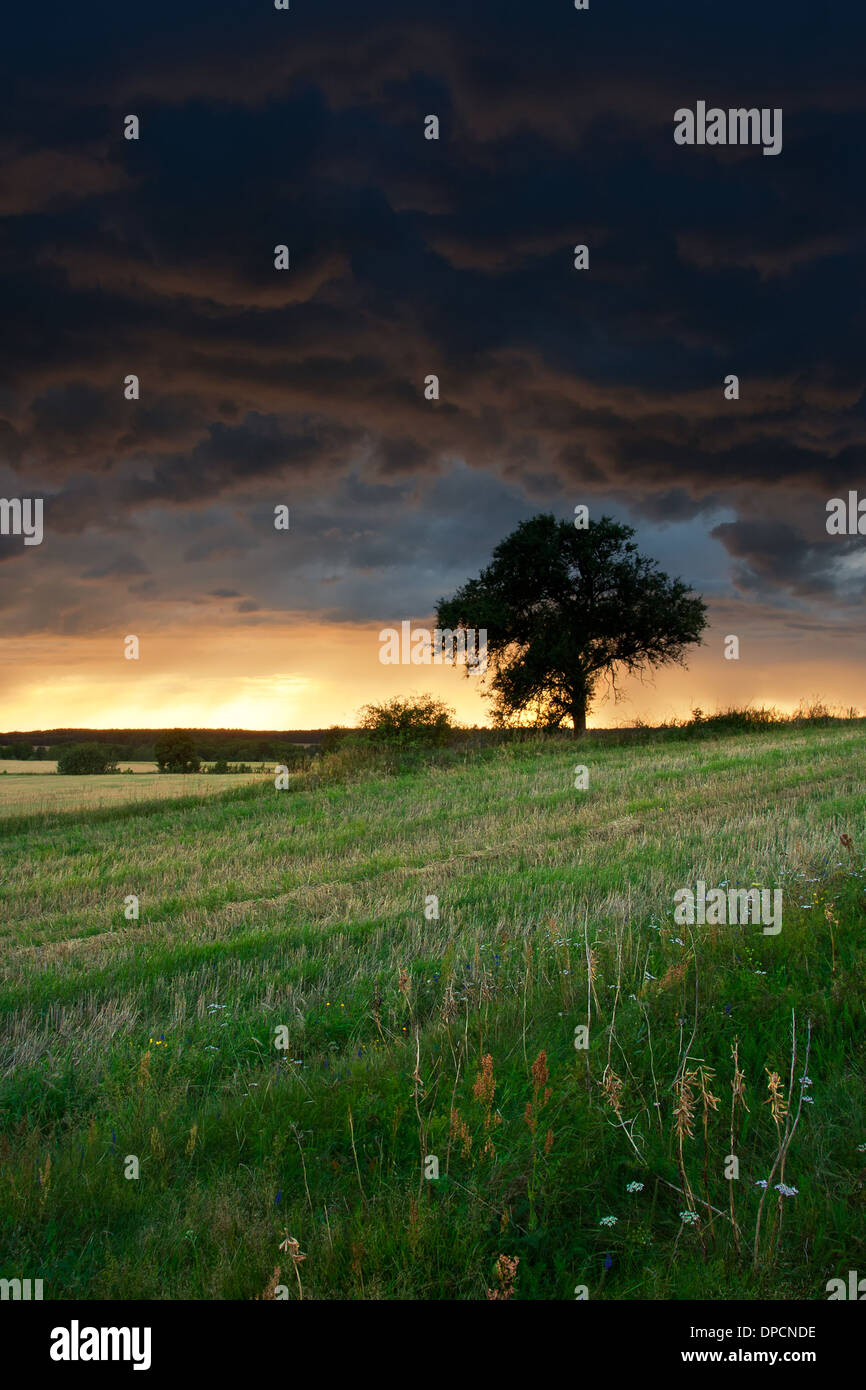 landscape with storm clouds Stock Photo - Alamy