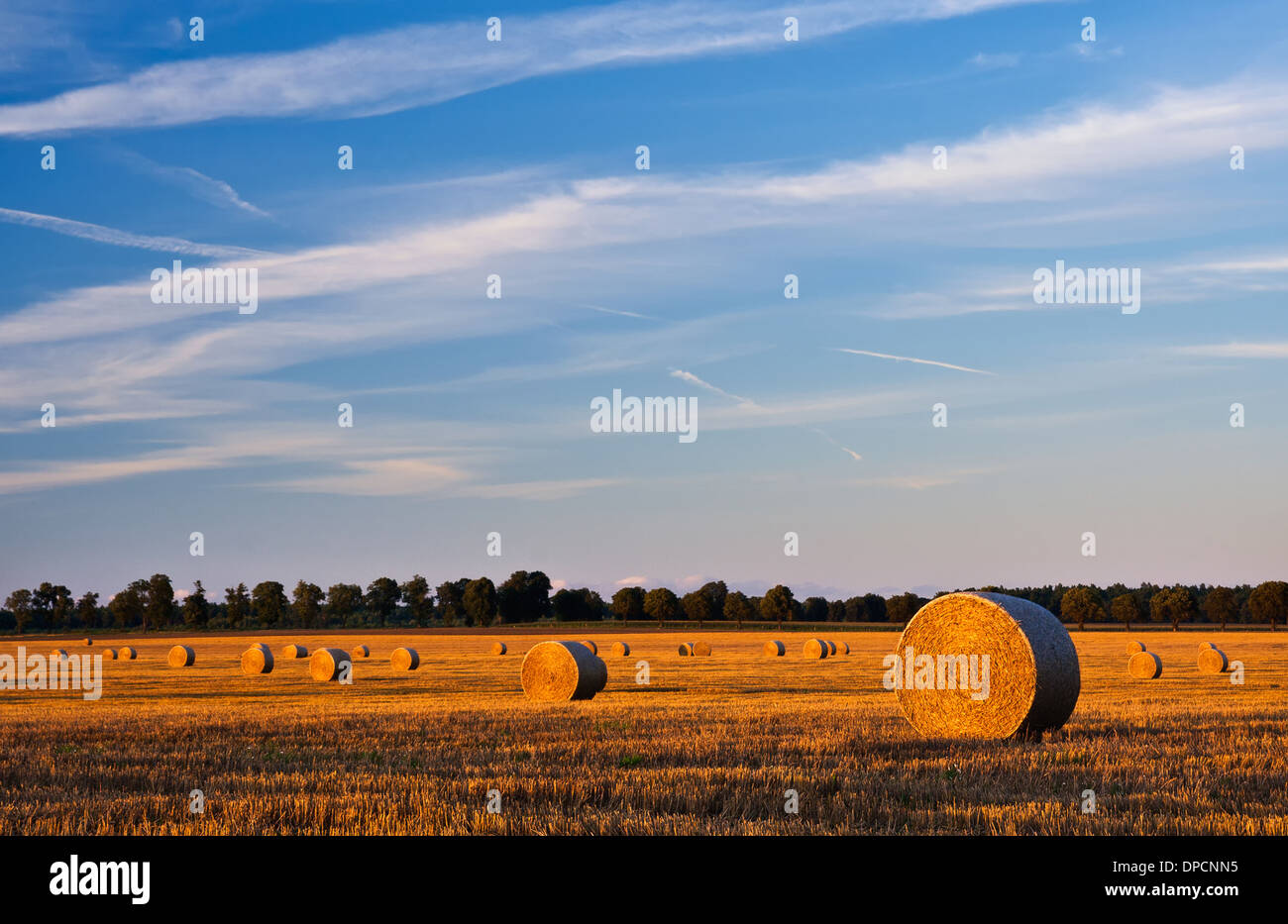 stubble field. rural landscape Stock Photo - Alamy
