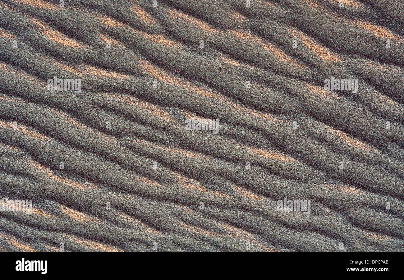 sunrise on desert landscape. slowinski national park Stock Photo - Alamy