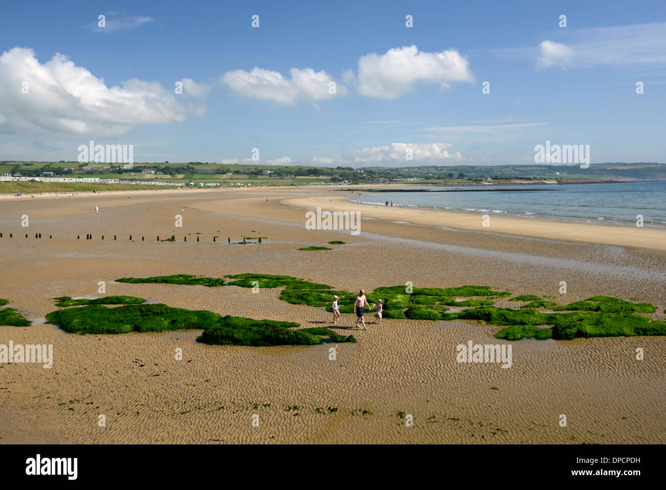 Ardmore bay hi-res stock photography and images - Alamy