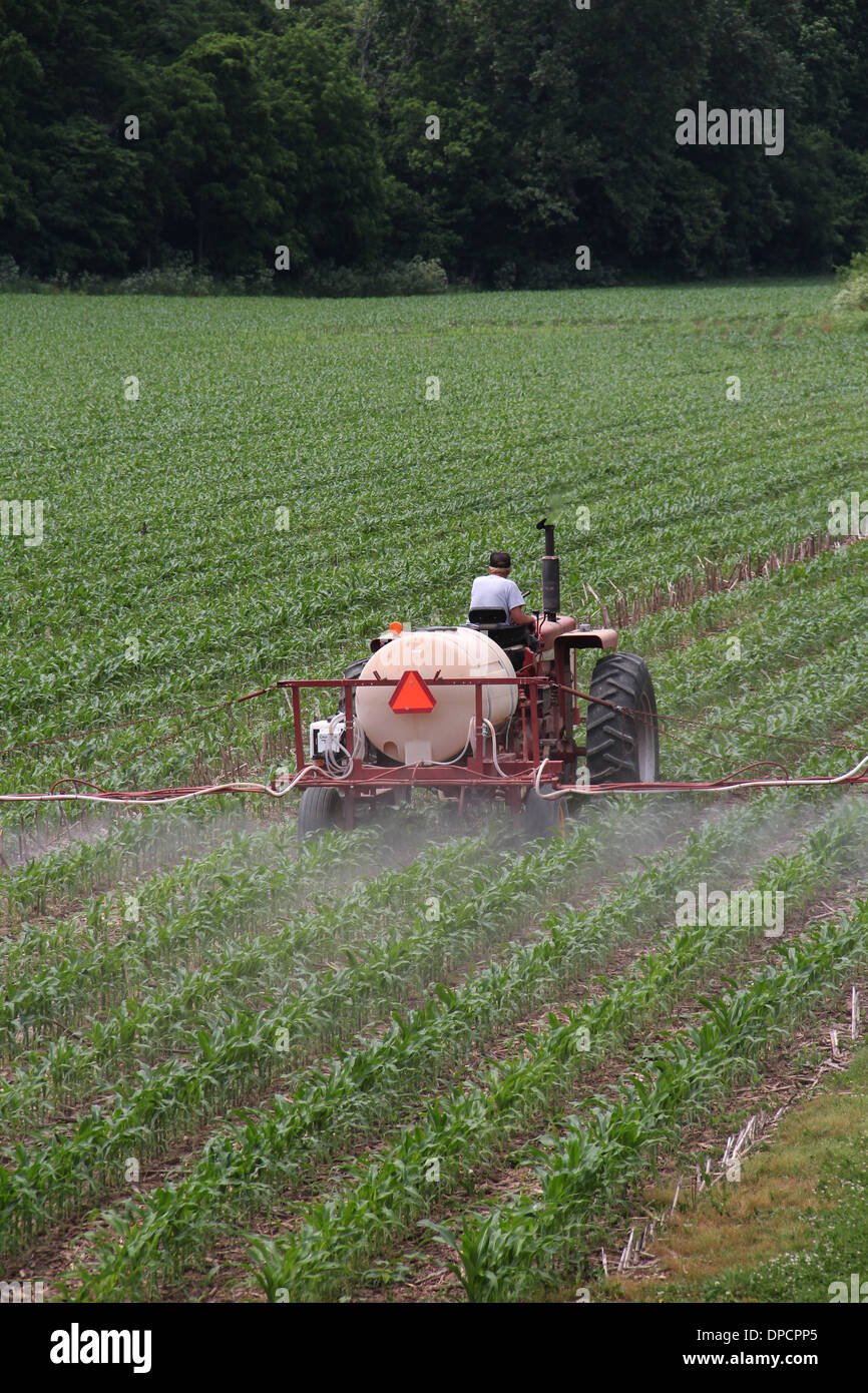 Farmer spraying insecticide on corn Indiana Stock Photo - Alamy