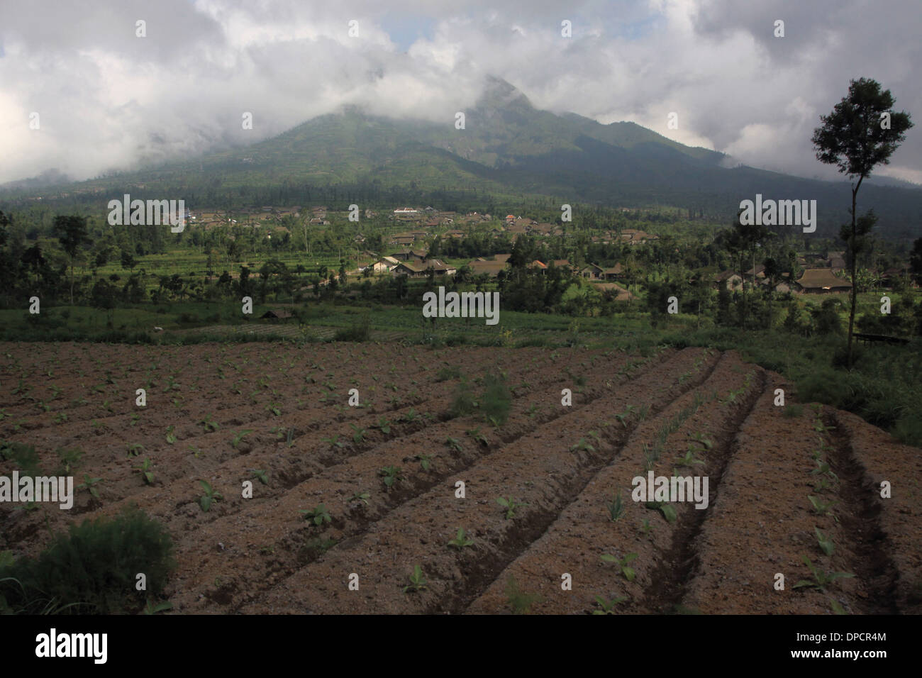 Farm village near Mt Merapi Indonesia volcano Stock Photo - Alamy