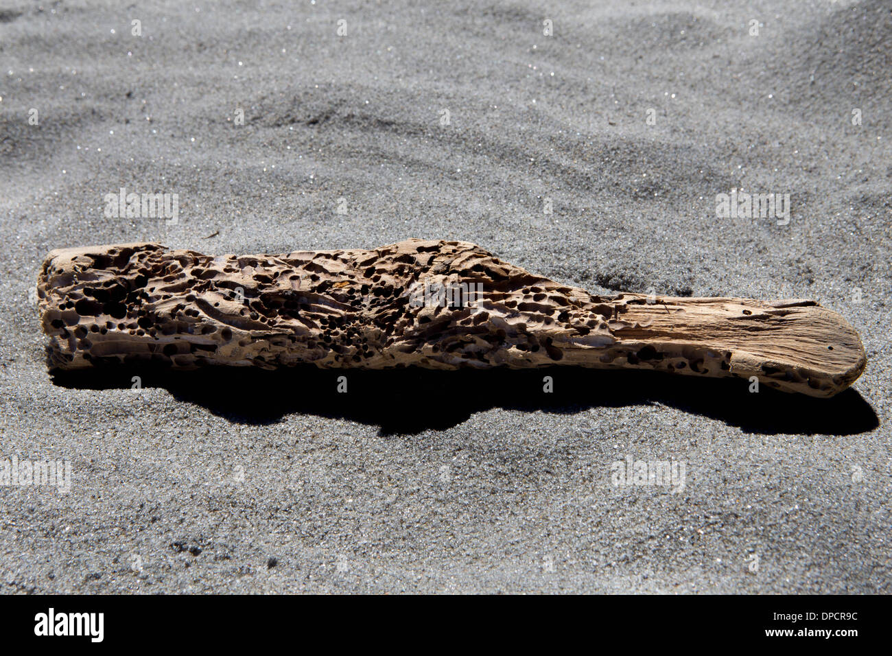 Beach wood texture hi-res stock photography and images - Alamy
