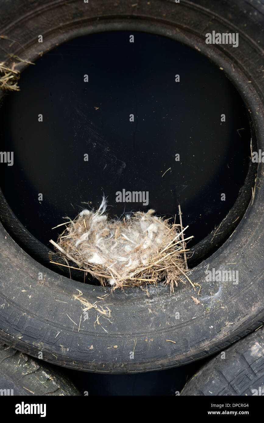 Open pit silage hi-res stock photography and images - Alamy