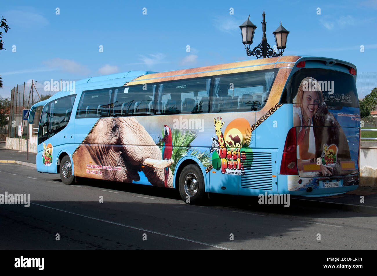 Fuerteventura oasis park hi-res stock photography and images - Alamy