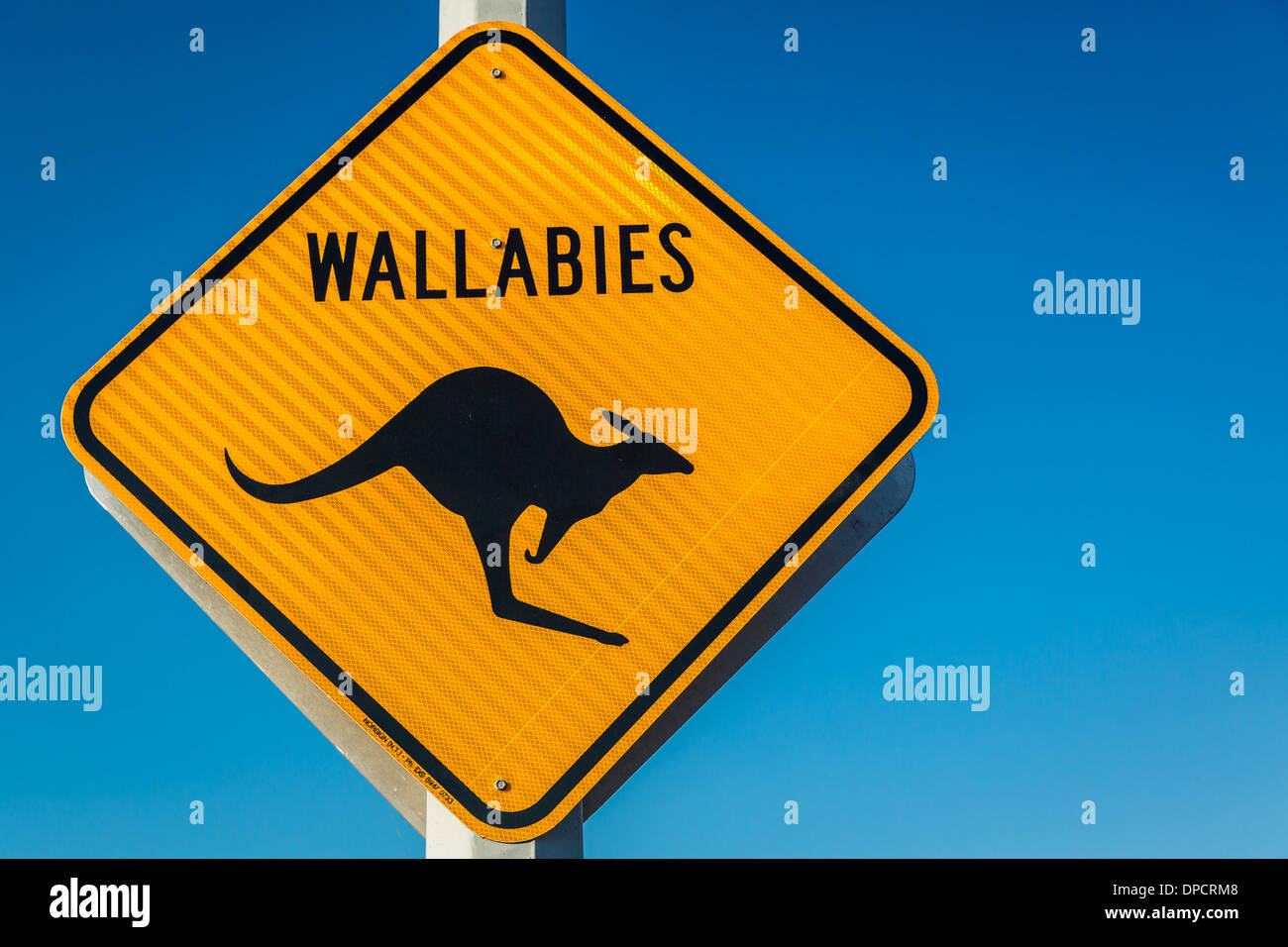 Wildlife crossing road australia hi-res stock photography and images ...