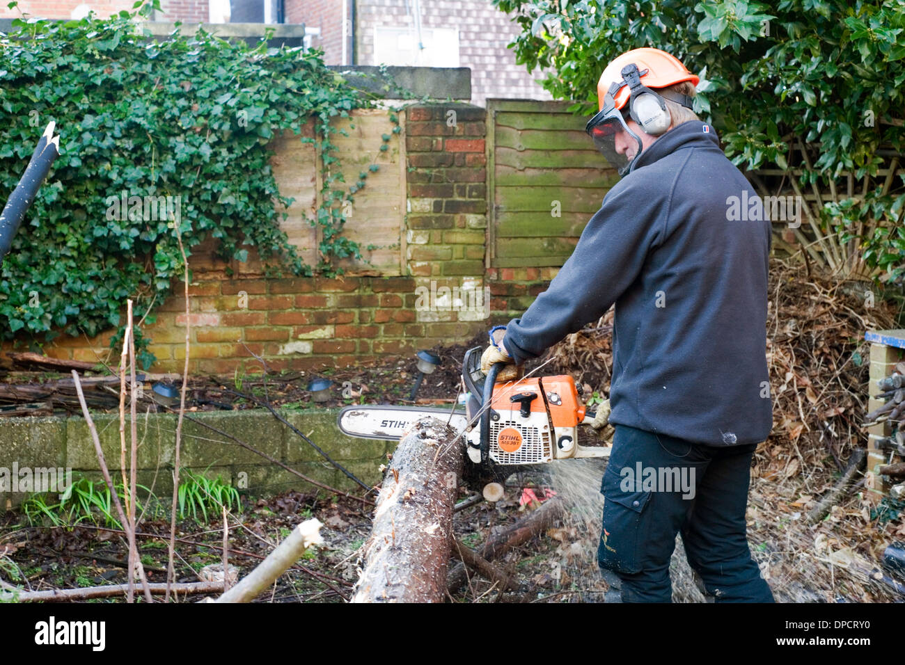 Cutting down tree garden uk hi-res stock photography and images - Alamy
