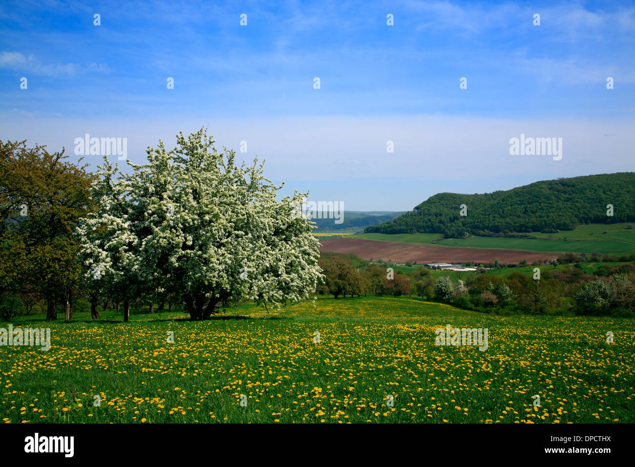 Thuringia landscape hi-res stock photography and images - Alamy