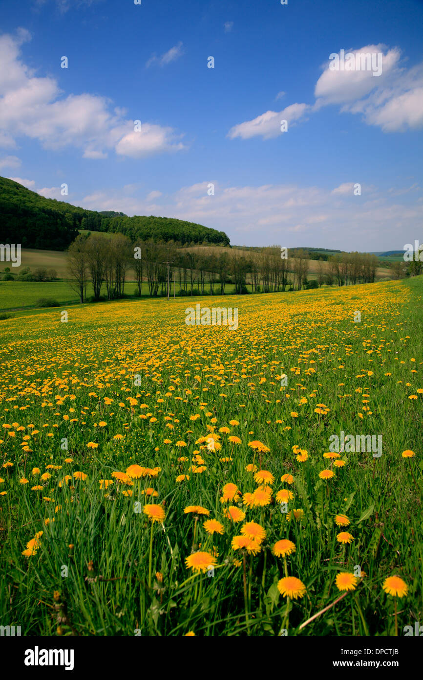 Thuringia landscape hi-res stock photography and images - Alamy