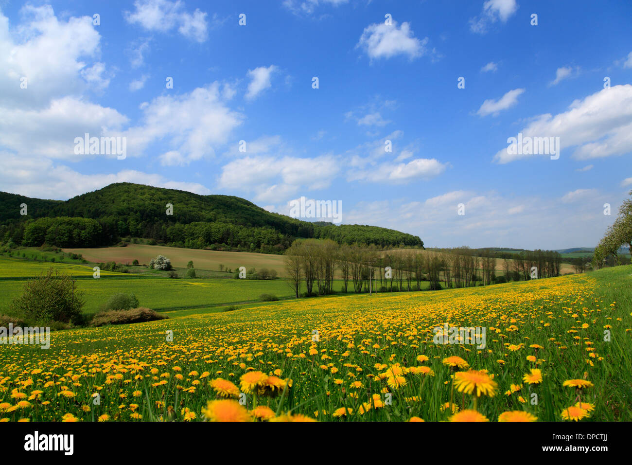 Eisenach thuringia germany hi-res stock photography and images - Alamy