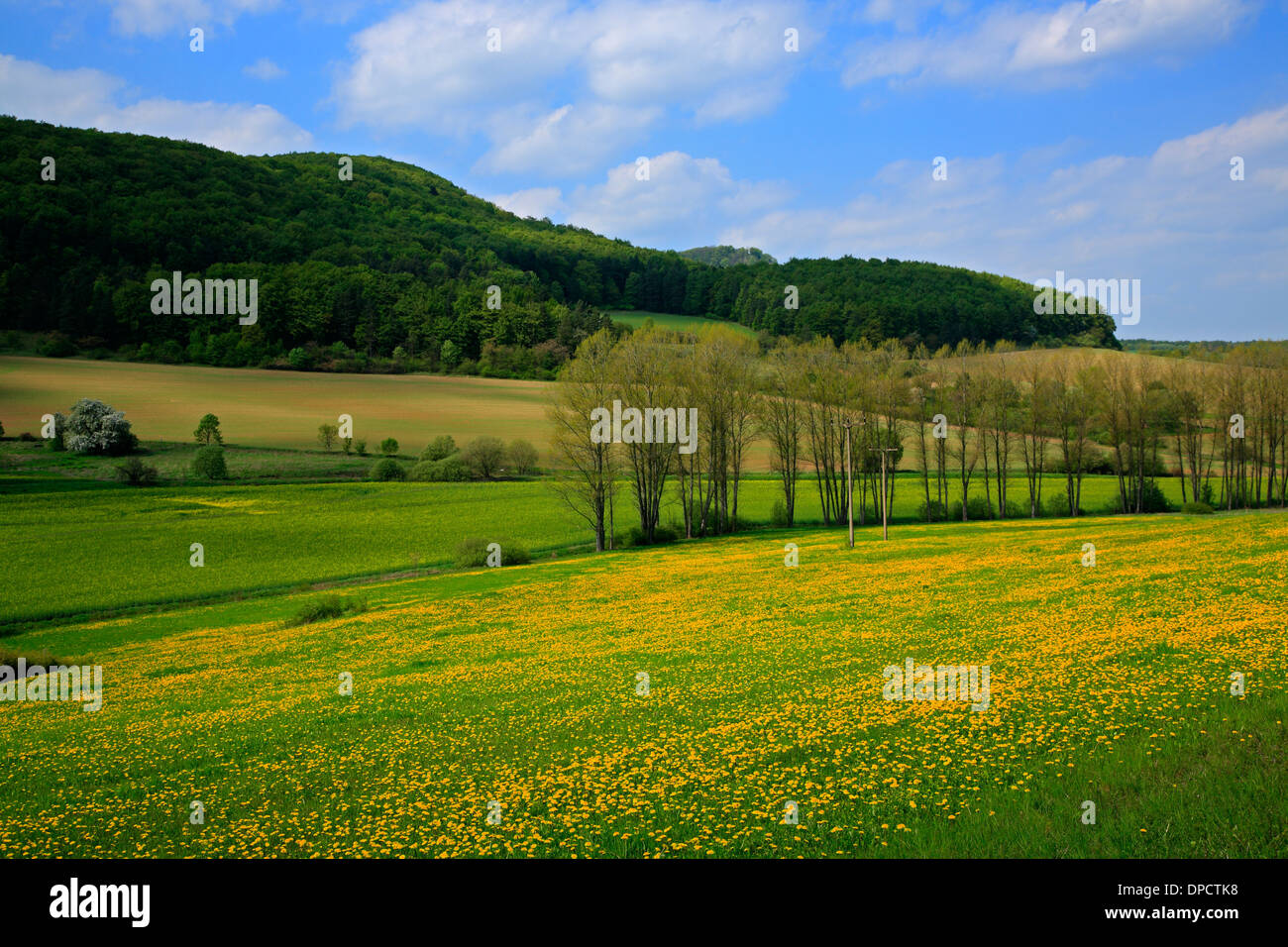 Landscape near Eisenach, Thuringia, Germany, Europe Stock Photo - Alamy