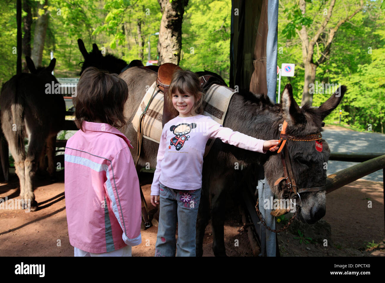 Donkey station below Wartburg Castle, Eisenach, Thuringia, Germany ...