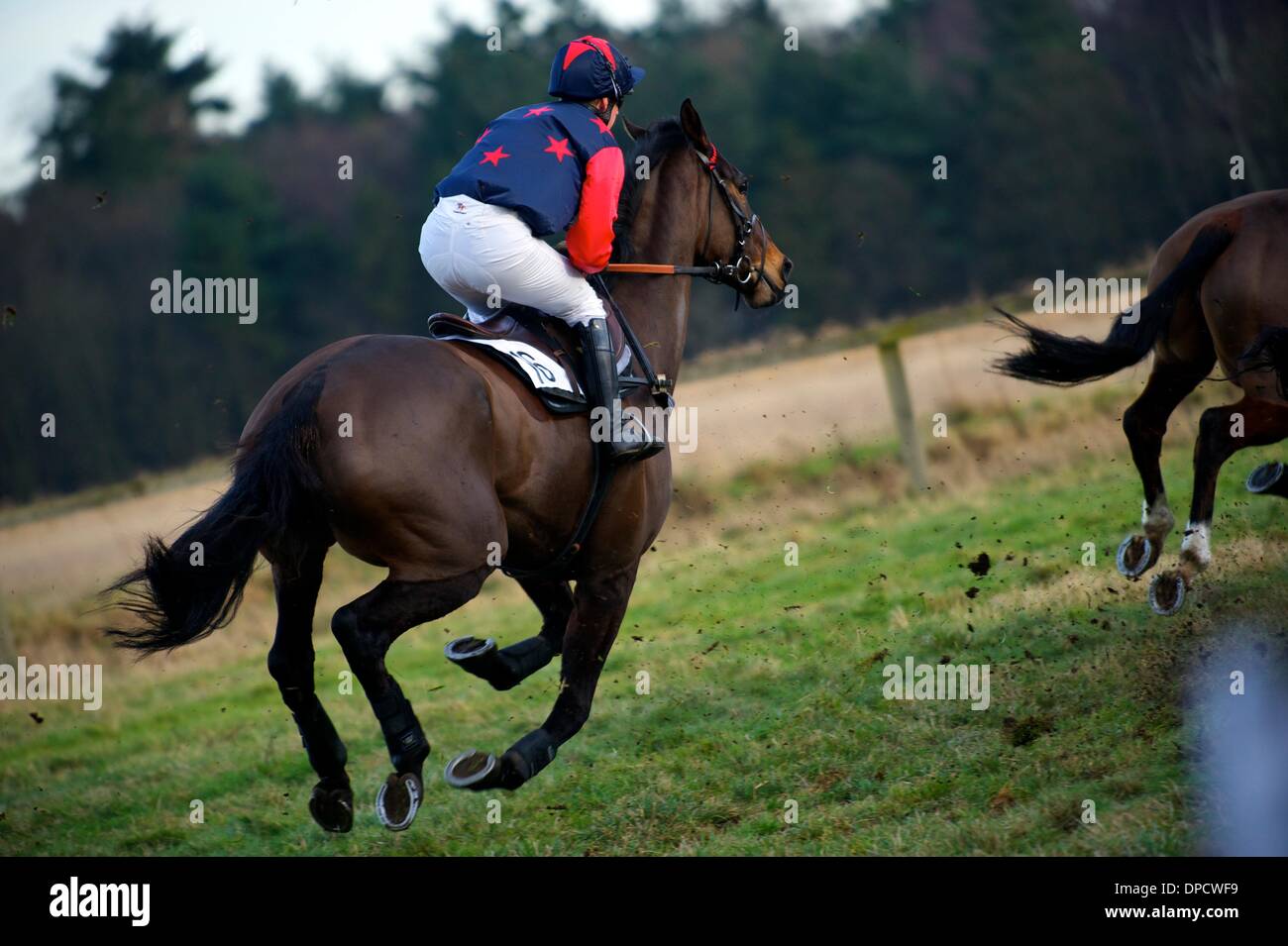 Ampton, Suffolk. Point to Point horse racing from Ampton Racecourse in ...