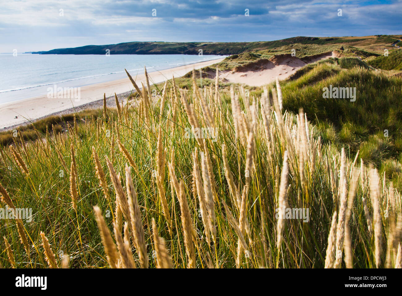 Freshwater west Pembrokeshire Wales UK Stock Photo - Alamy