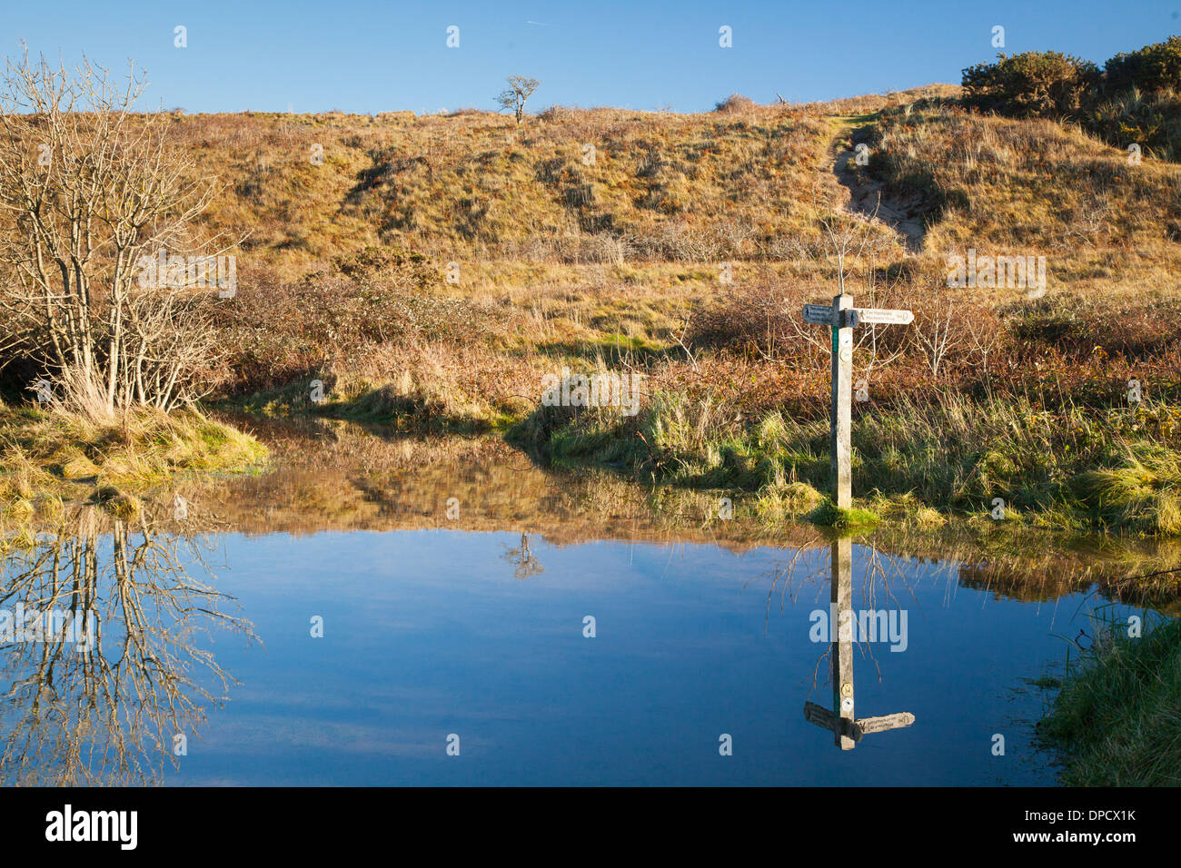 Flooded coastal path, Bosherston, Pembrokeshire UK Stock Photo - Alamy