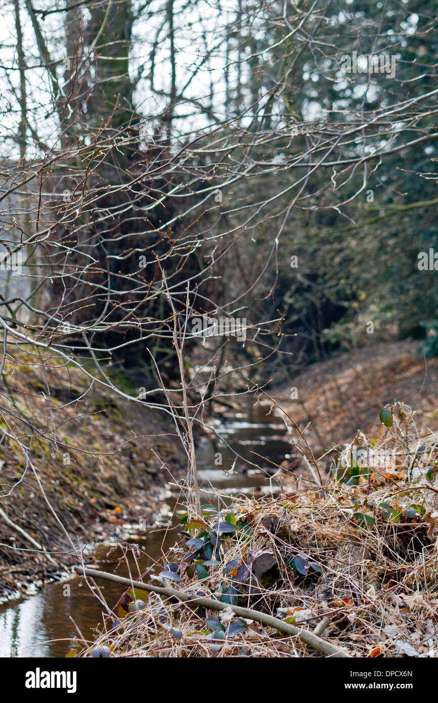 Scenic stream view hi-res stock photography and images - Alamy