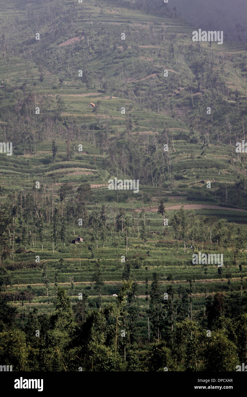 Merapi Volcano Farmer High Resolution Stock Photography and Images - Alamy