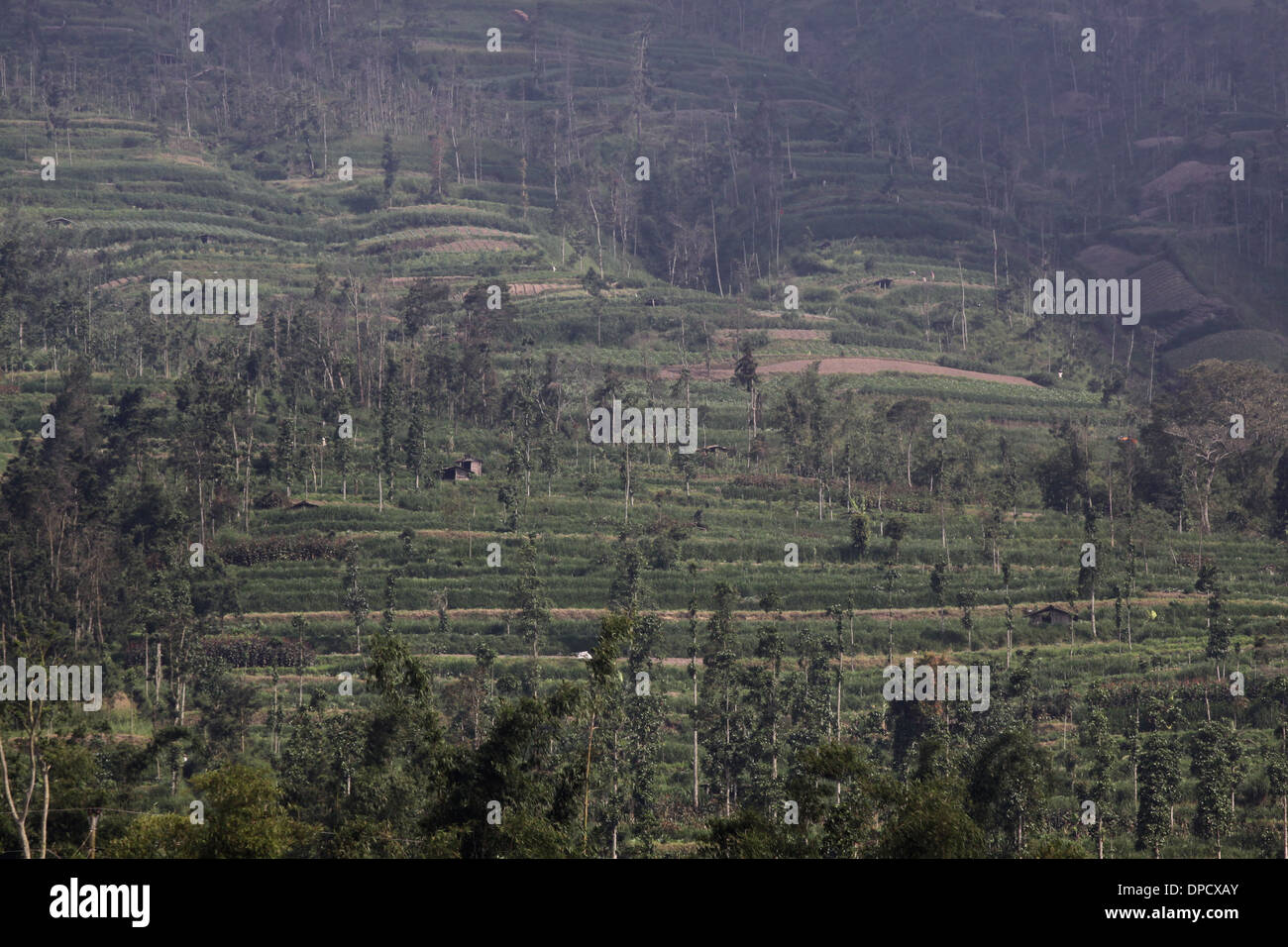 Merapi Volcano Farmer High Resolution Stock Photography and Images - Alamy