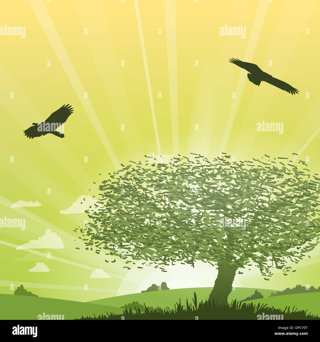 Tree Grass Landscape Stock Photo - Alamy