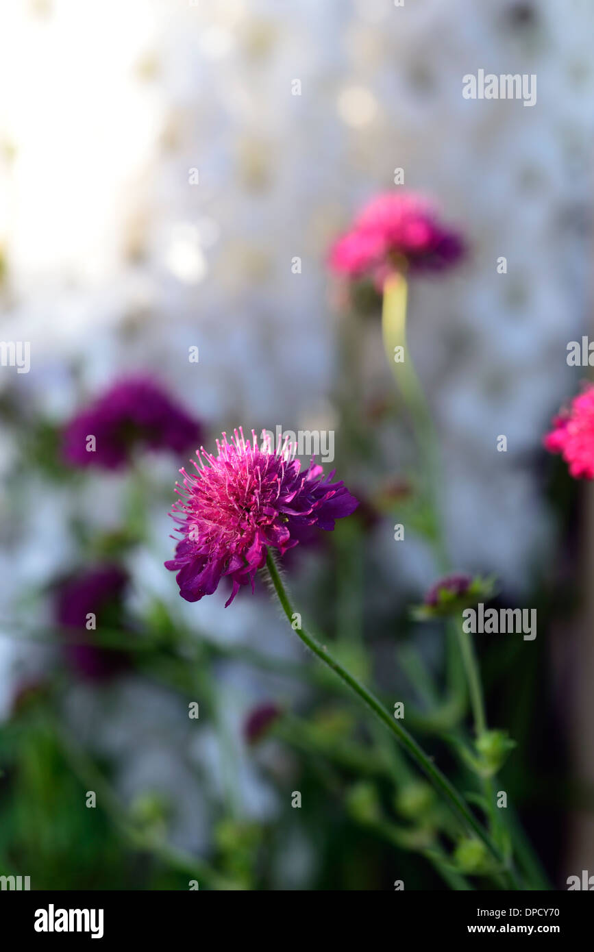 Magic fountains white hi-res stock photography and images - Alamy